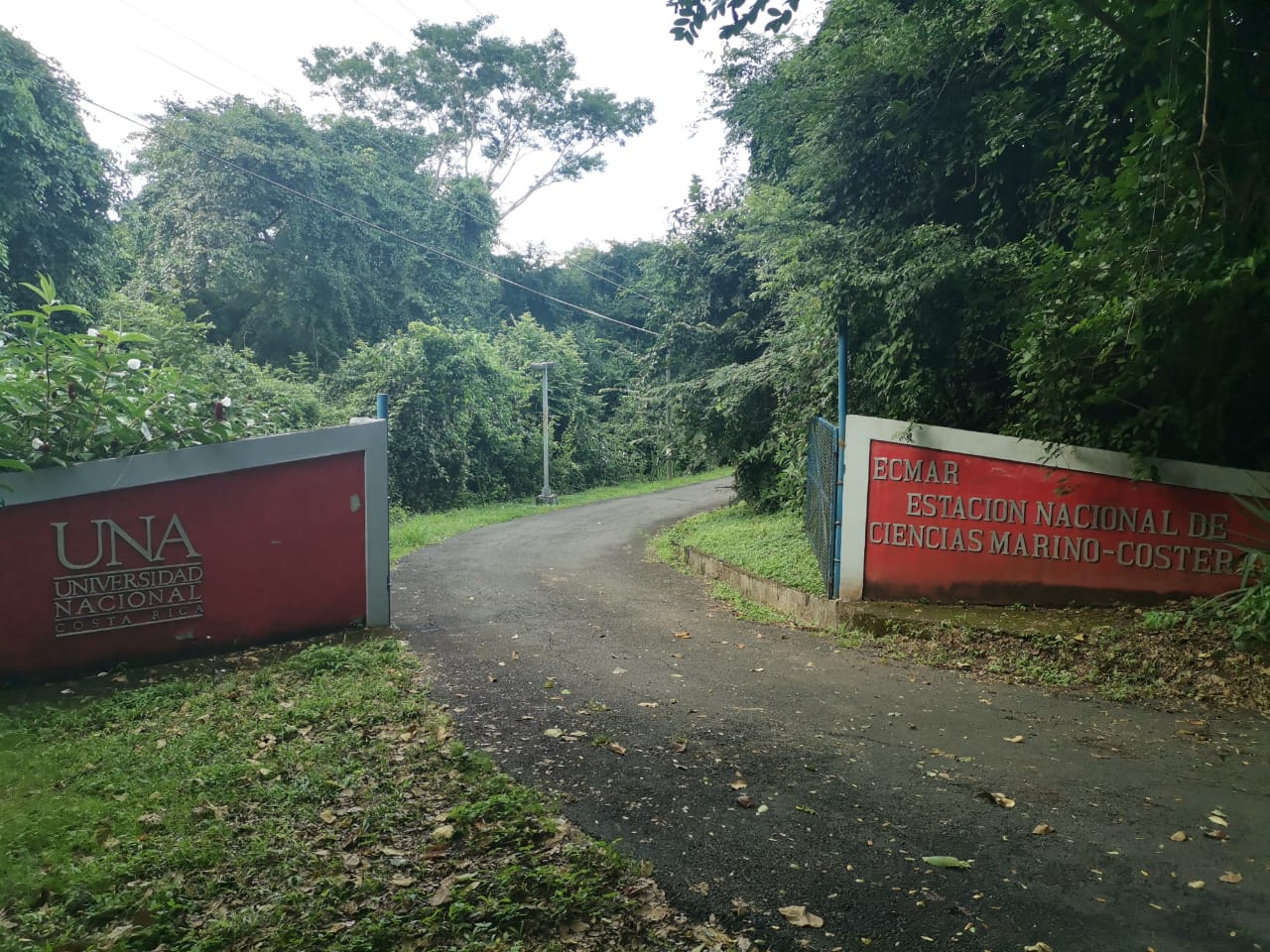 Biologia
